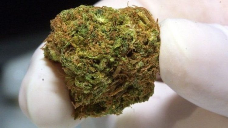 Zimbabwe: Urumogi rwahawe Umugisha. - amakuru agezweho