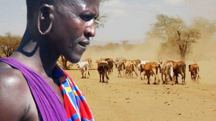 Perezida yavuze ko nta mushumba wemerewe kuragira inka afite Umuhoro ...